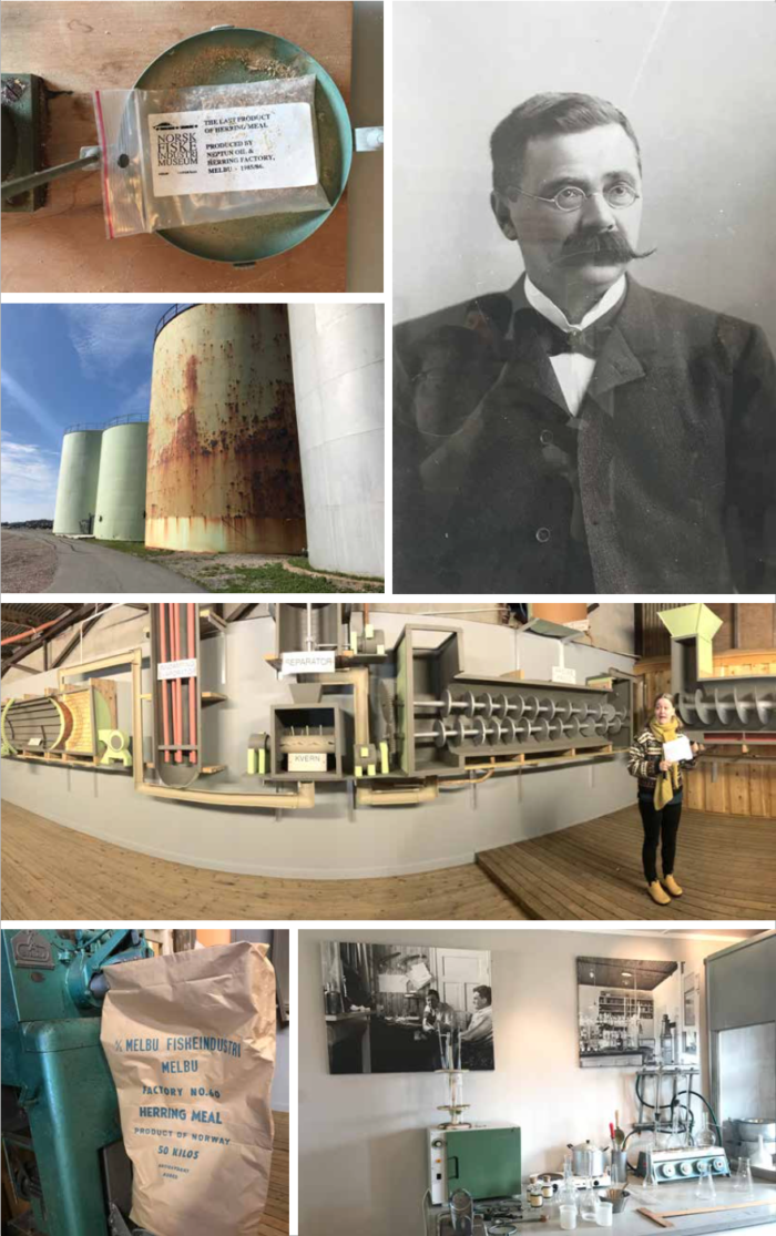 Melbu Residency: Eating in Extreme Environments – The Center for ...