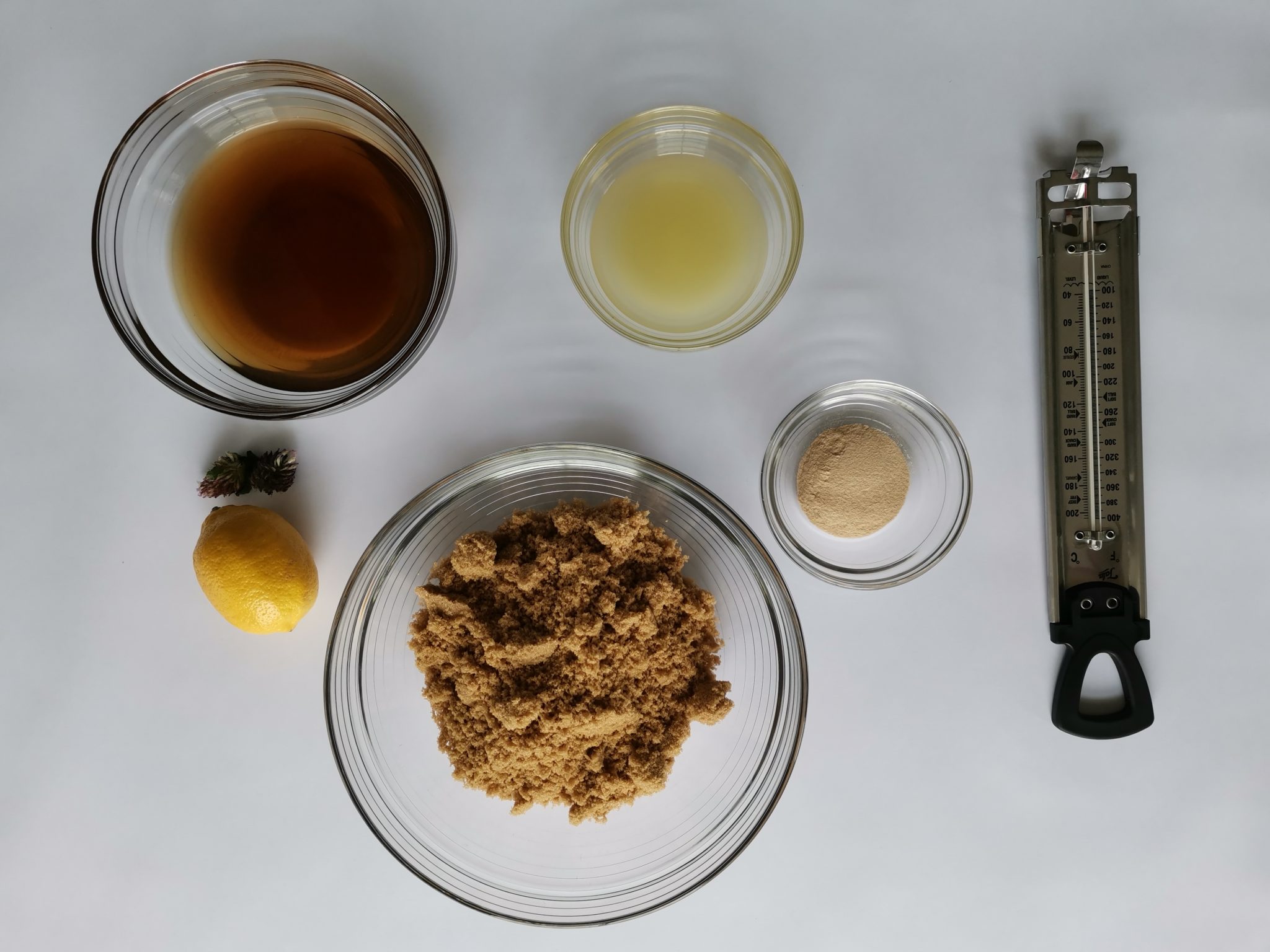 Blog – The Center for Genomic Gastronomy - Studying the biotechnologies ...